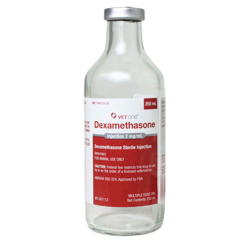VetOne Dexamethasone Sterile Injection 2mg/mL, 250mL | On Sale ...