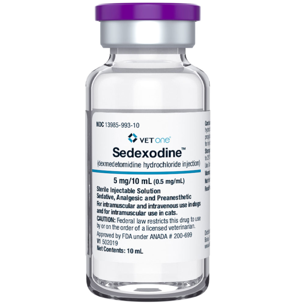 VetOne Sedexodine Injectable Solution for Dogs & Cats, 0.5mg/mL, 10mL ...