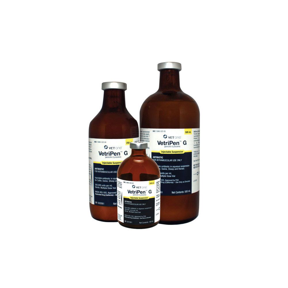 VetOne VetriPen G (Penicillin G Procaine) Injectable Suspension, 250mL ...