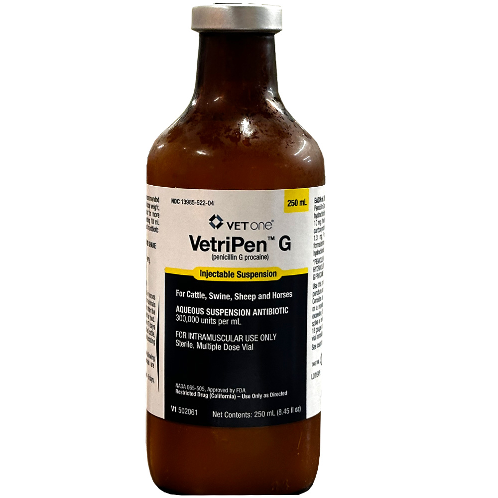 VetOne VetriPen G (Penicillin G Procaine) Injectable Suspension, 250mL ...