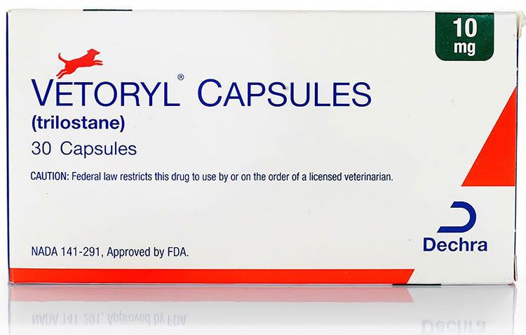 Vetoryl (Trilostane) for Dogs | Free Shipping | EntirelyPets Rx