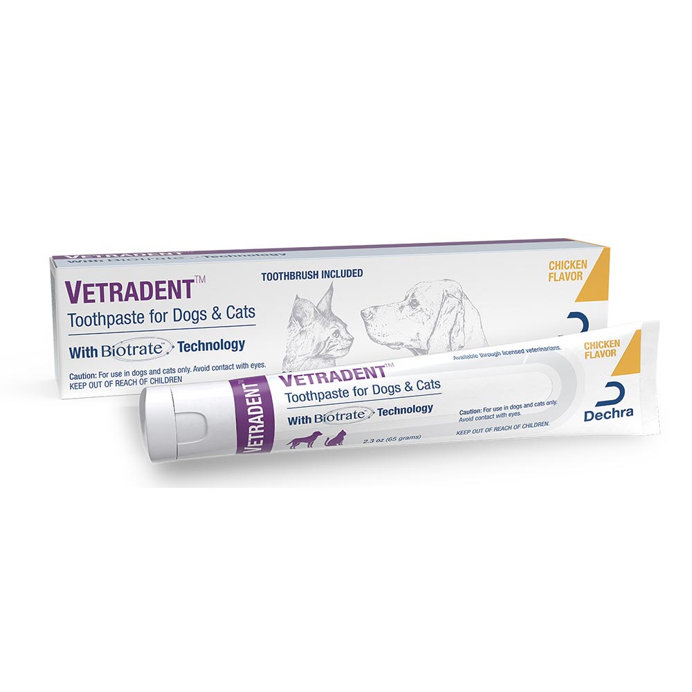 Vetradent Toothpaste for Dogs & Cats Chicken Flavor (2.3 oz Tube ...