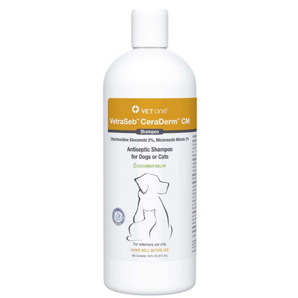 VetraSeb CeraDerm CM Antiseptic Shampoo for Dogs or Cats, 16oz | On ...