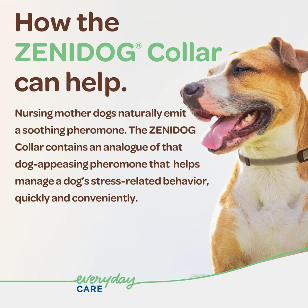 Virbac Zenidog Calming Pheromone Collar Medium/Large Dog, 1 Count | On ...