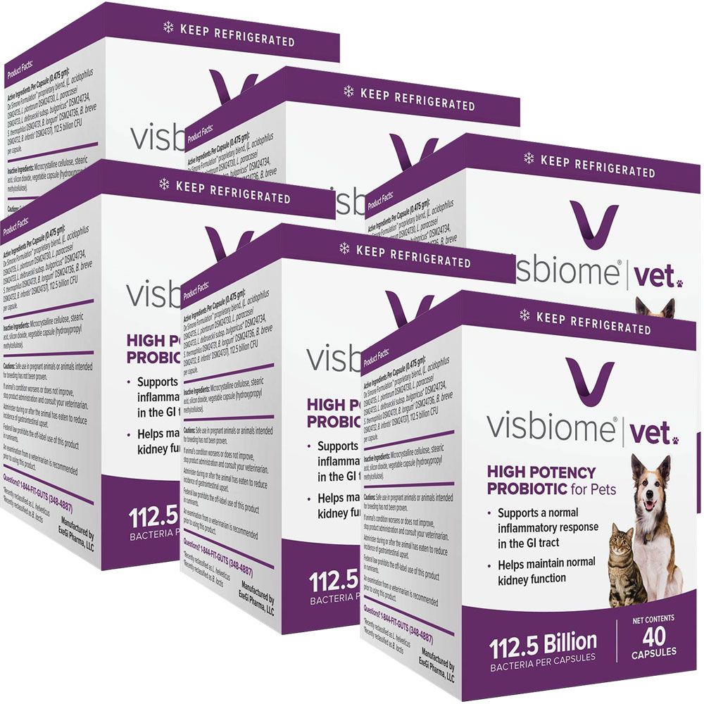 Visbiome Vet Capsules Probiotic for Pets - 112.5 Billion CFUs (240 ...