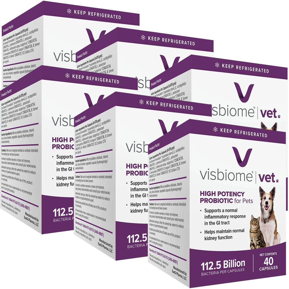 Visbiome for Dogs & Cats - Vet Capsules Probiotic - 112.5 Billion CFUs ...