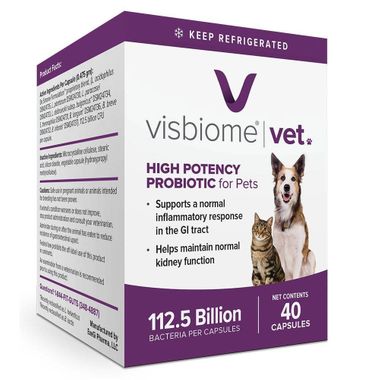 Visbiome Vet Capsules Probiotic for Pets - 112.5 Billion CFUs (40 count ...