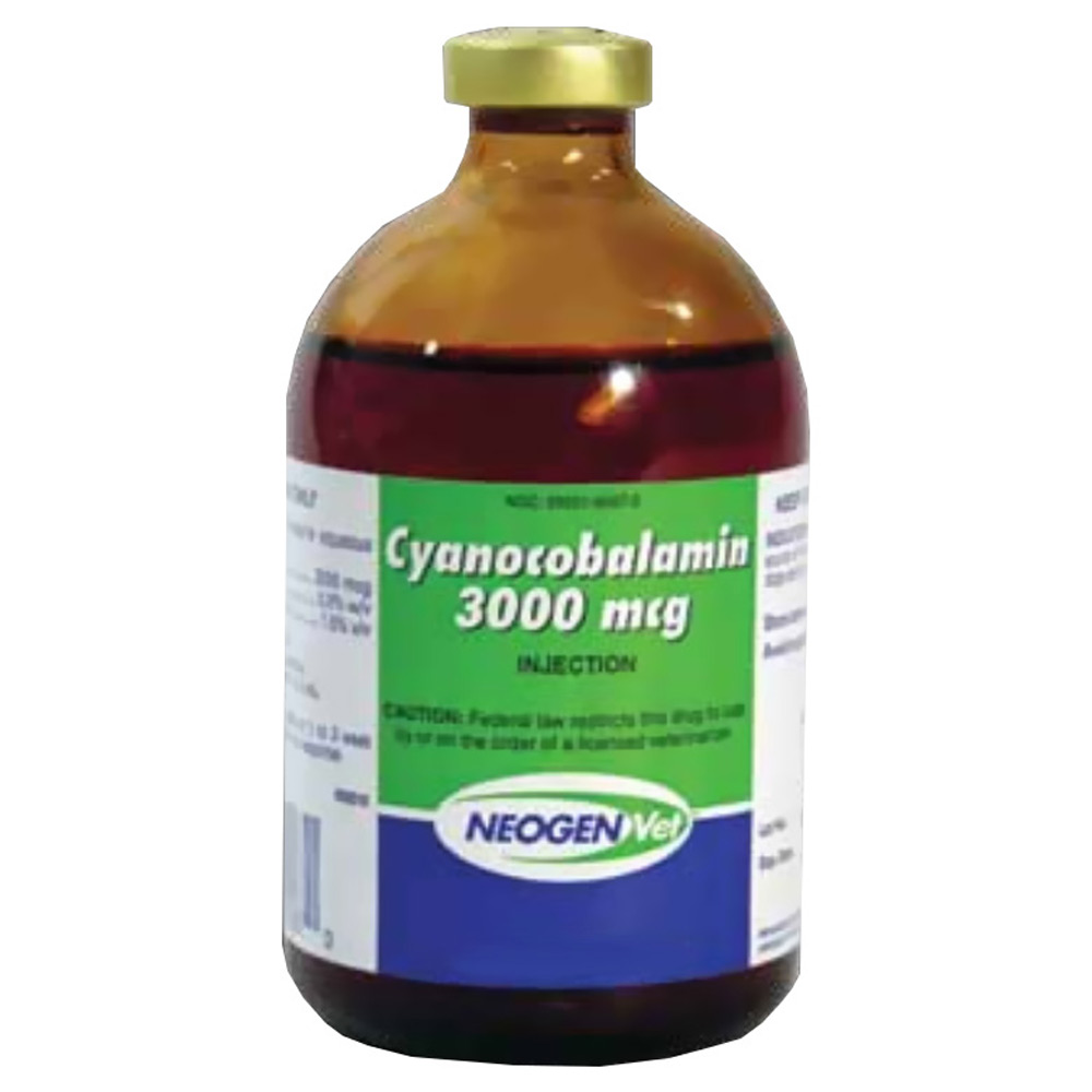 Vitamin for Cattle, Sheep, Swine, Horses, Dogs & Cats - B12 3000mcg ...