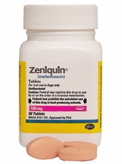 Other Medications | On Sale | EntirelyPets Rx