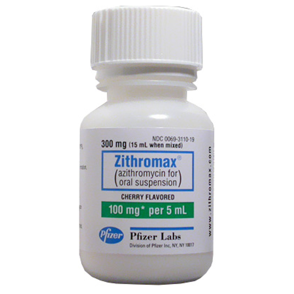 Zithromax for Dogs & Cats - 100mg/5ml Susp 15ml Bottle - [Bacterial ...