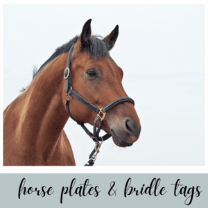 Pet ID Tags & Dog Collars