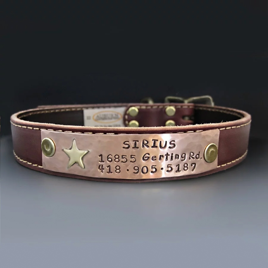 Custom Gold Star Dog Collar