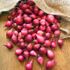 Sambar Onion Seeds, Pink Onion Small Seeds, Small Red Onions ,Shallots ...