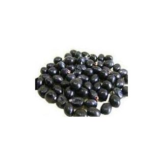 Abrus precatorius Seeds, Black Seeds , bead vine, coral bead plant ...