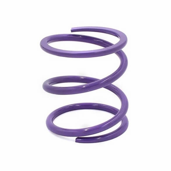 Polaris Xpedition & RZR XP 1000 EPI Purple Primary Clutch Spring