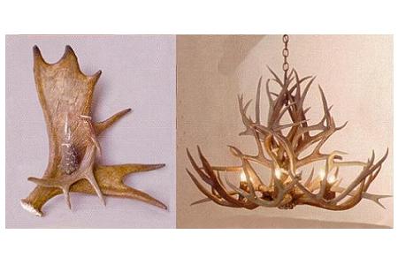 Wild West Designs - Antler Lighting and Decor|Lodgecraft