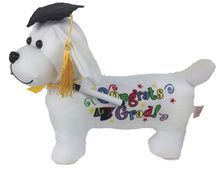 Graduation - Holiday Plush