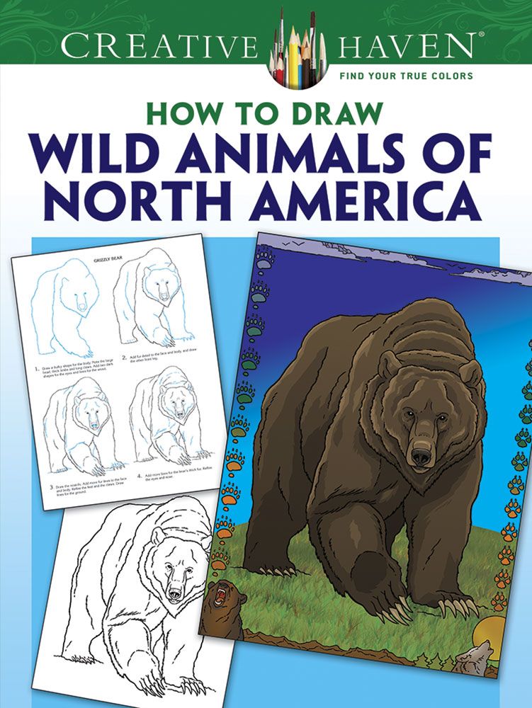 North American Animals Coloring Pages