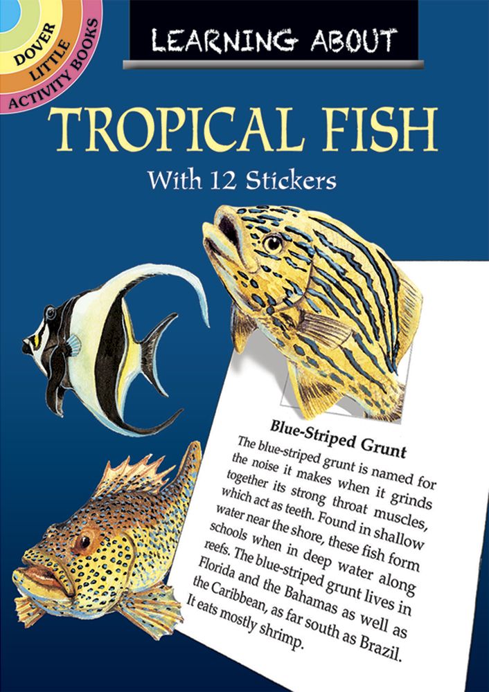 Blue Striped Tropical Fish