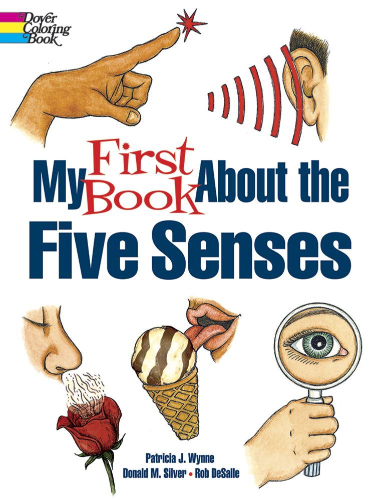 My Five Senses Book