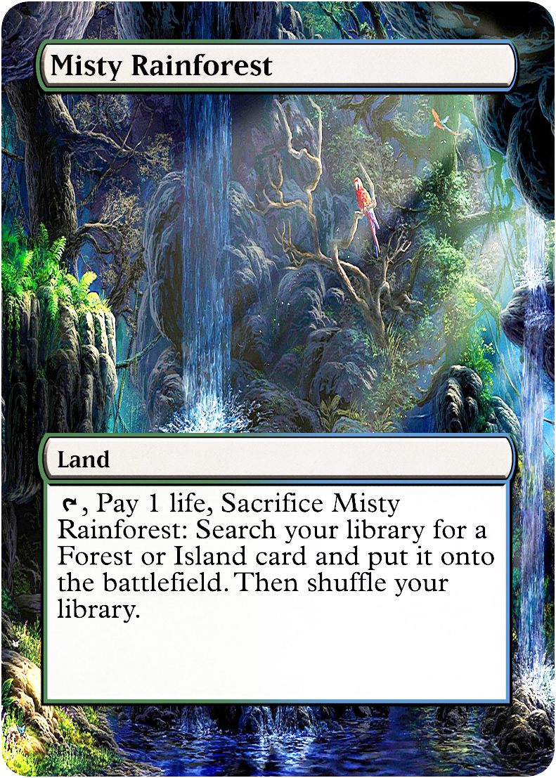 Misty Rainforest
