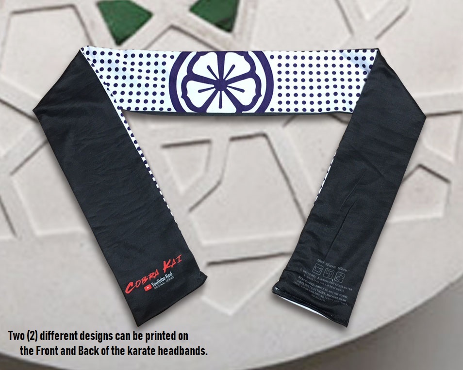 Karate Kid Headband Logo