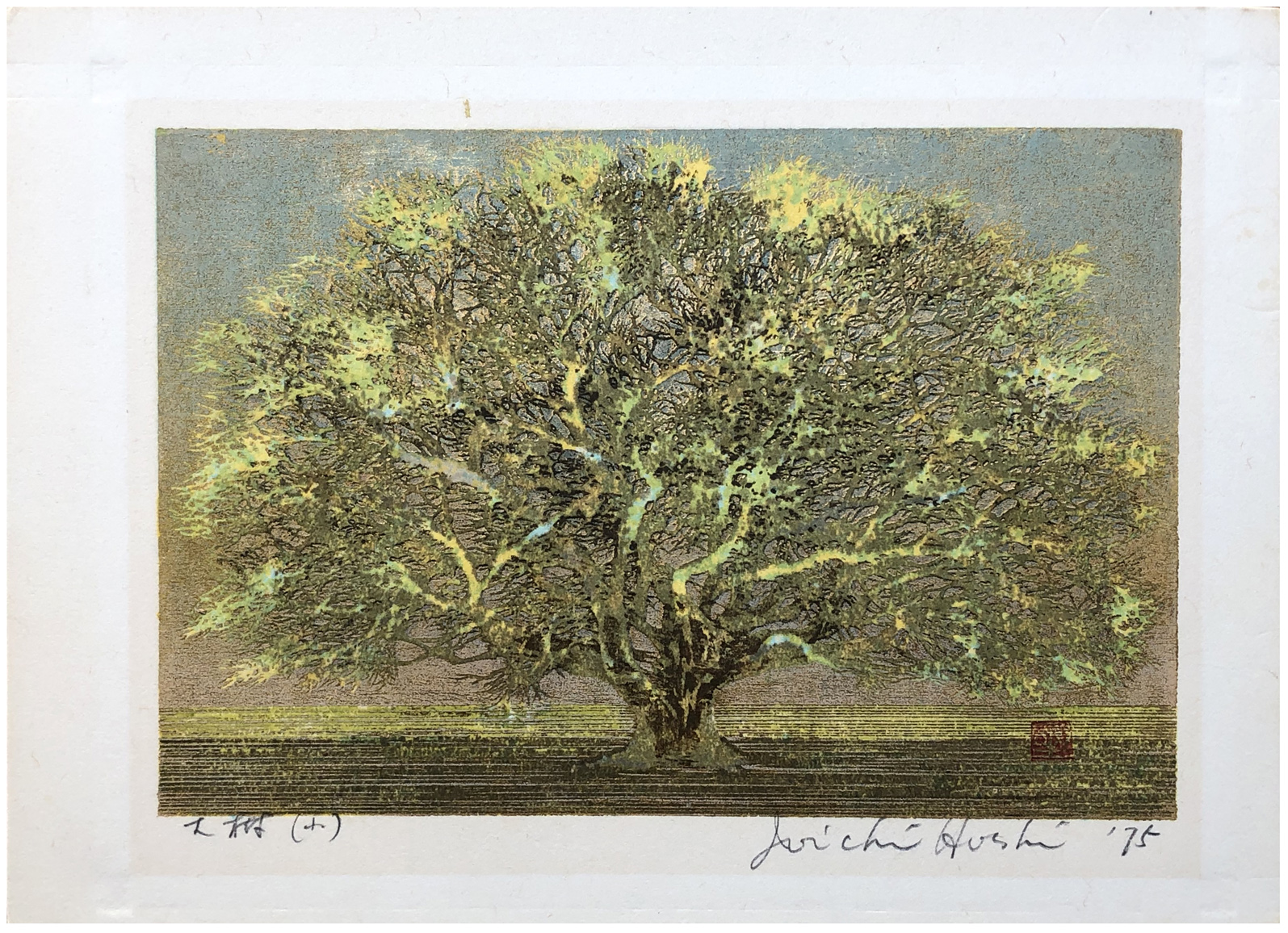 Great Tree (Small) by Joichi Hoshi | Woodblock Print | Woodblock Prints ...