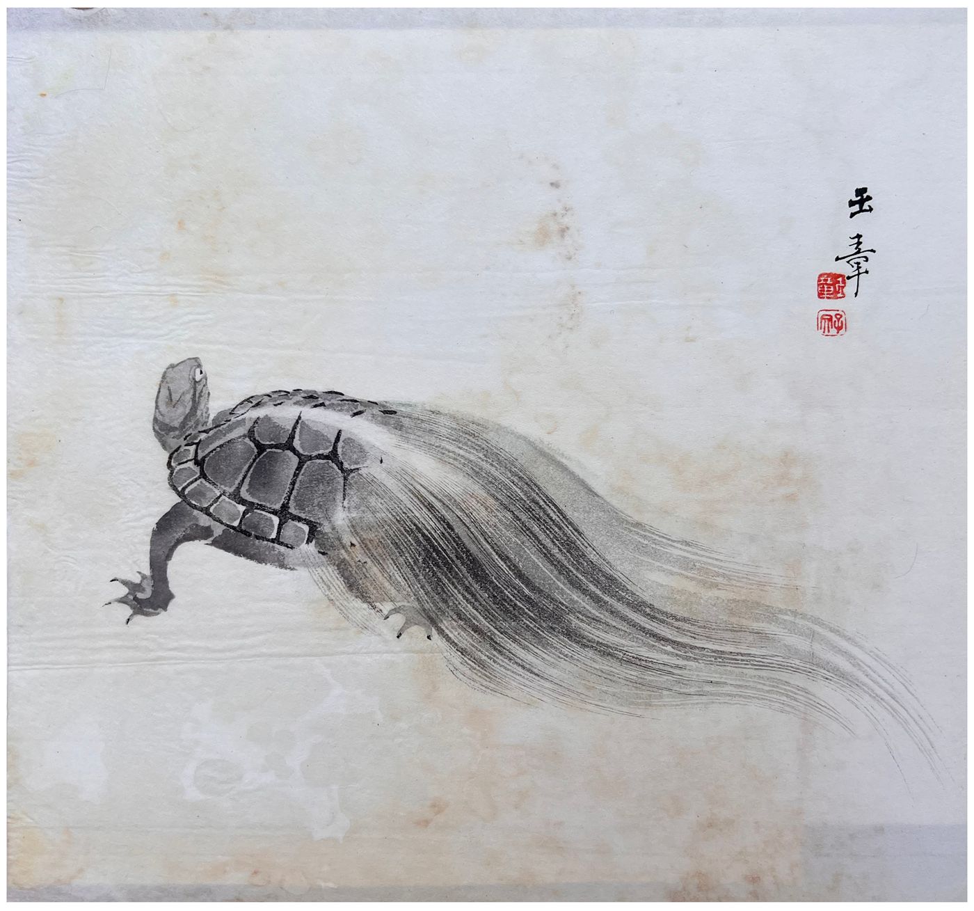 Minogame Gyokusho Kawabata | Woodblock Print | Woodblock Prints For Sale