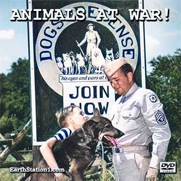 Animals At War: Animals In The Military + Bonus Title MP4 Download DVD