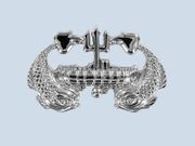 Regulation/Miniature Insignia