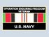Operation Enduring Freedom Veteran United States Navy with Ribbon Pin