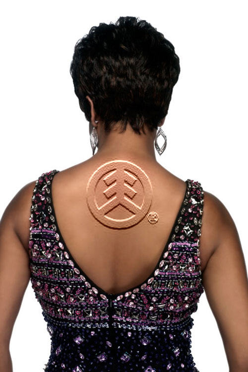 Beverly Johnson Vivica Fox Wig H 205 Human Wig