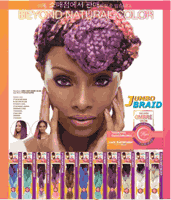 Femi Collection Jumbo Braid Ombre Color 100% Kanekalon Braiding ...