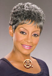 Foxy Silver Wig Yolanda