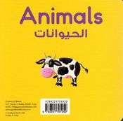 alkitab.com-Your Source for Arabic Books: Words: Hayawanat Board Book ...