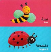 alkitab.com-Your Source for Arabic Books: Words: Hayawanat Board Book ...