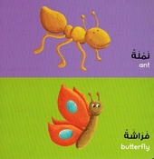 alkitab.com-Your Source for Arabic Books: Words: Hayawanat Board Book ...