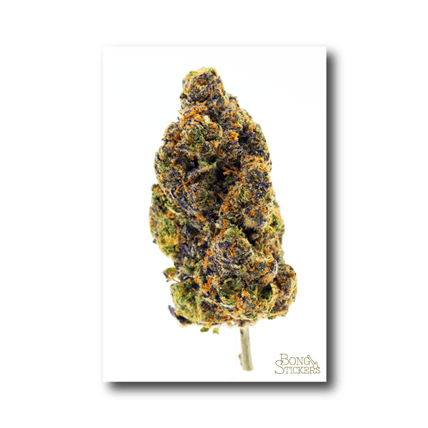 415 Cookies Weed Sticker - Marijuana Sticker 0001