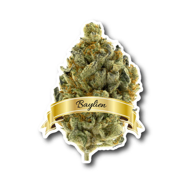 Baylien Vinyl Sticker