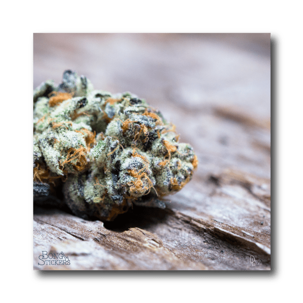 Dank Bud Weed Sticker - Marijuana Sticker 0002