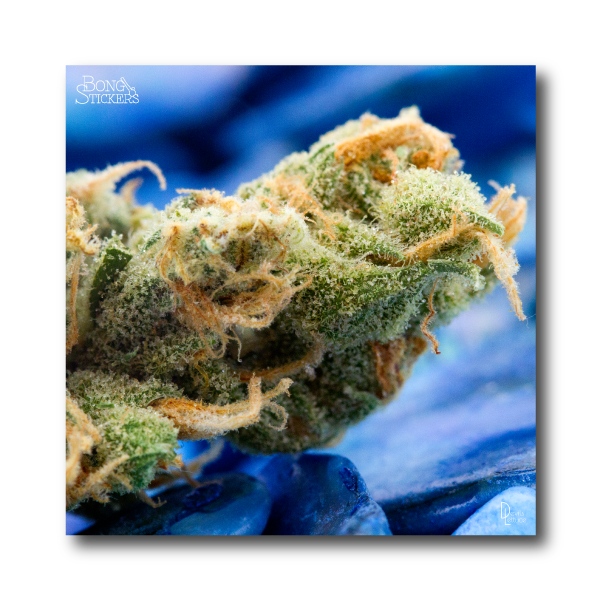 Dank Bud Weed Sticker - Marijuana Sticker 0007