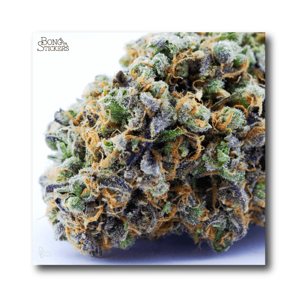 Dank Bud Weed Sticker - Marijuana Sticker 0034