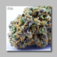 Dank Bud Weed Sticker - Marijuana Sticker 0034