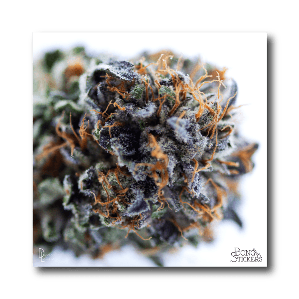 Dank Bud Weed Sticker - Marijuana Sticker 0107