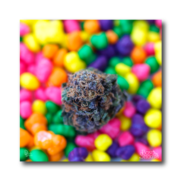 Grand Daddy Purps Weed Sticker - Marijuana Sticker 0008
