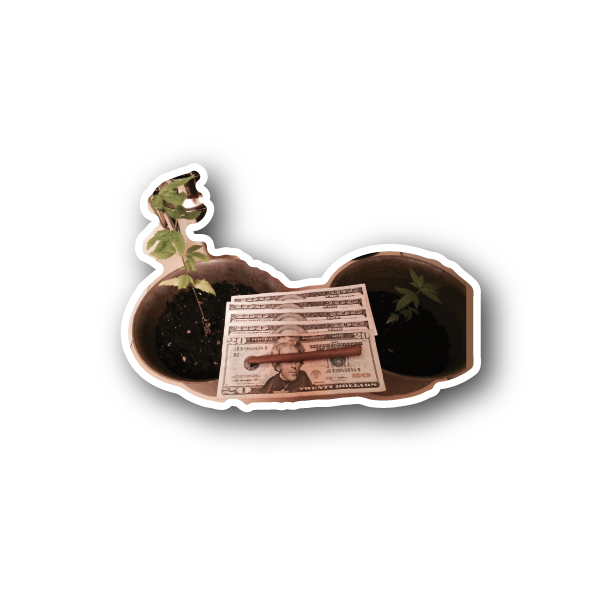 Green - Weed - Money - Sticker|Vinyl Stickers|Marijuana Stickers|Clear ...