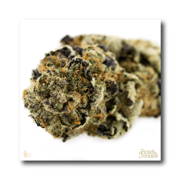 Phantom Cookies Weed Sticker - Marijuana Sticker 0004