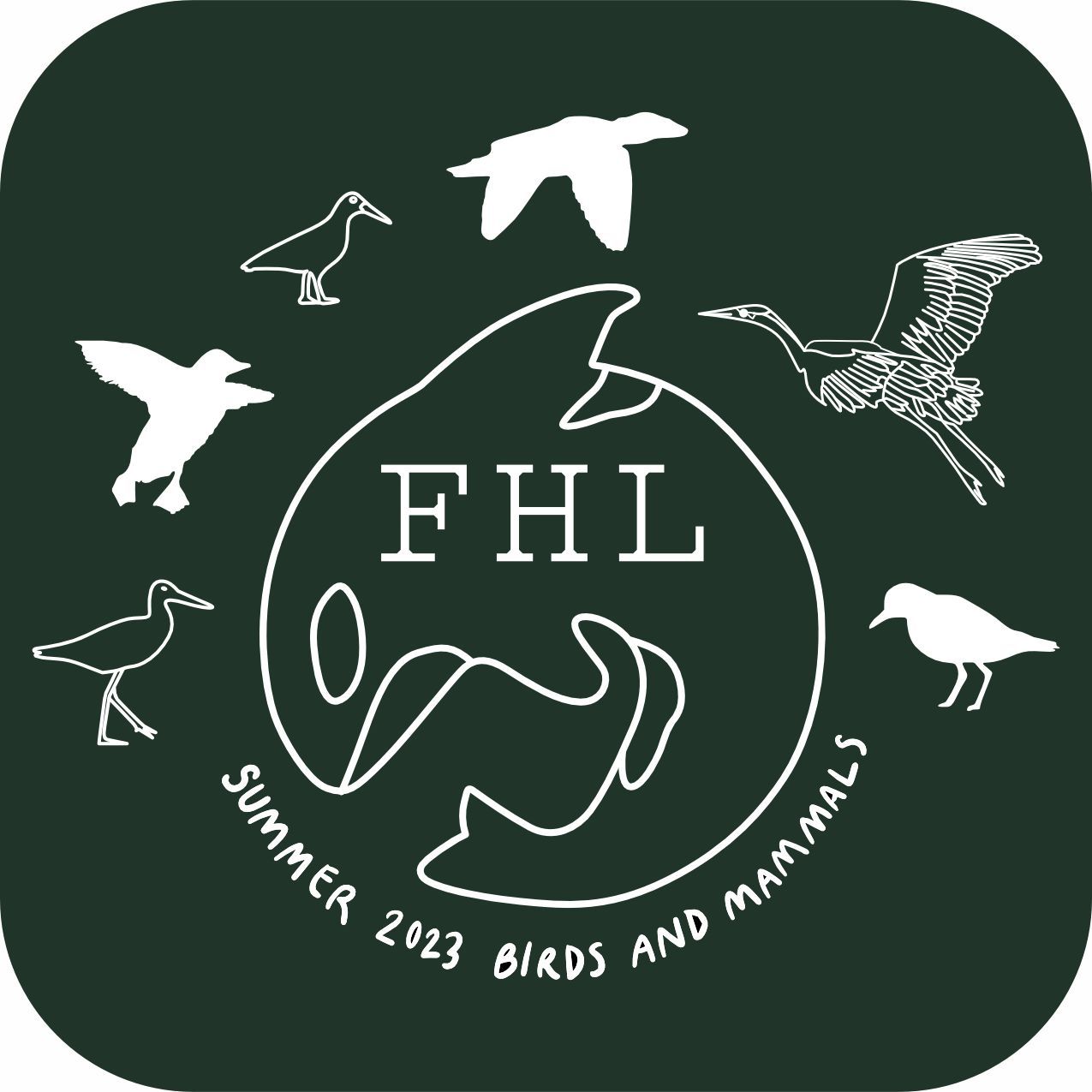 FHL Apparel