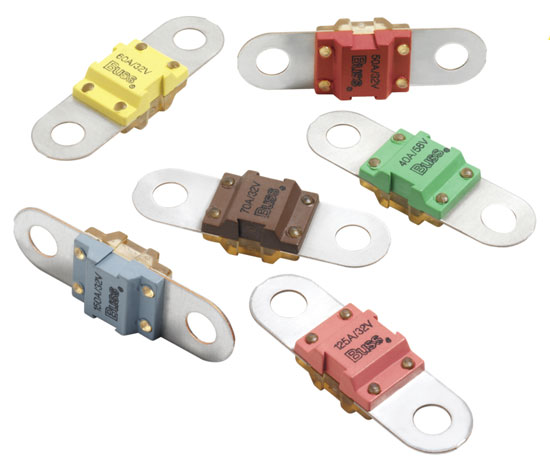 100 Amp AMI Fuse