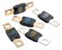 250 Amp AMG Fuse